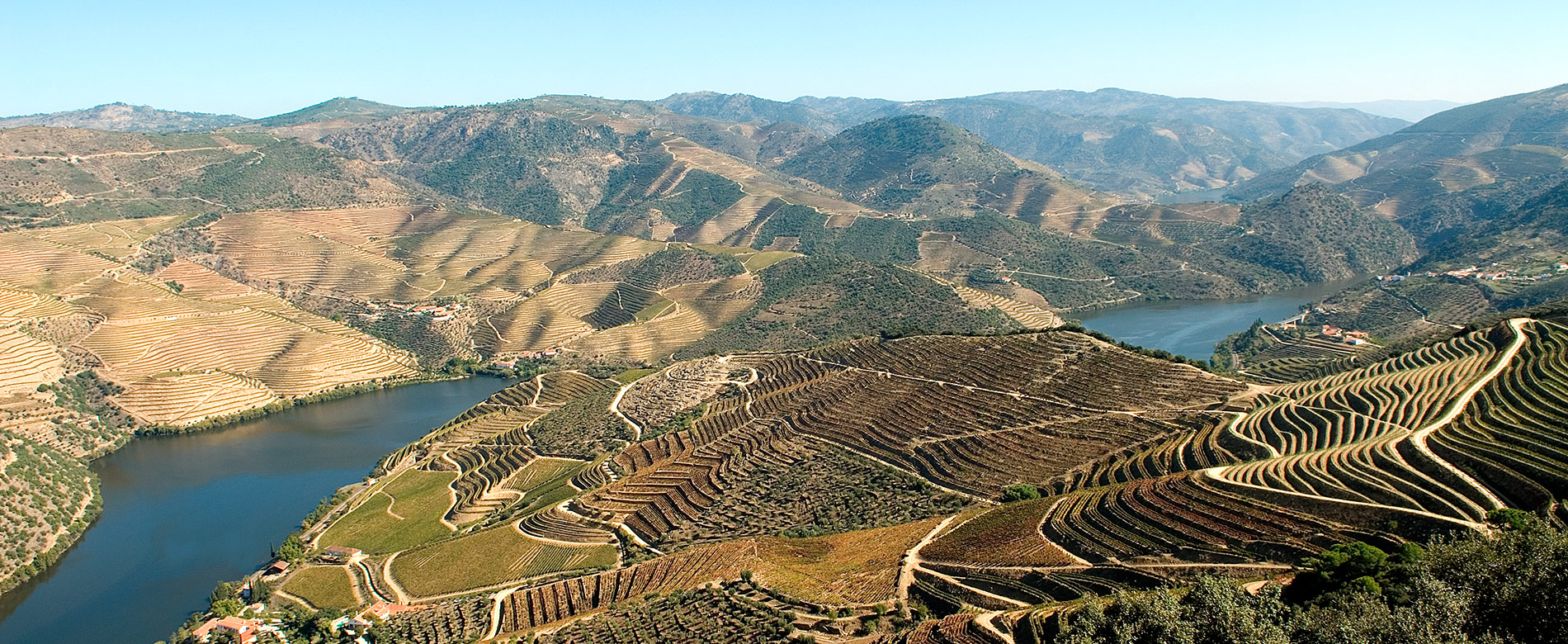 Museu do Douro - Home